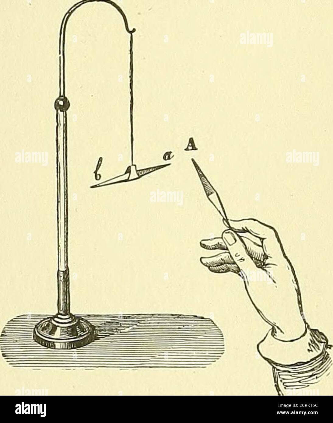 . The medical and surgical uses of electricity : including the X-ray ...