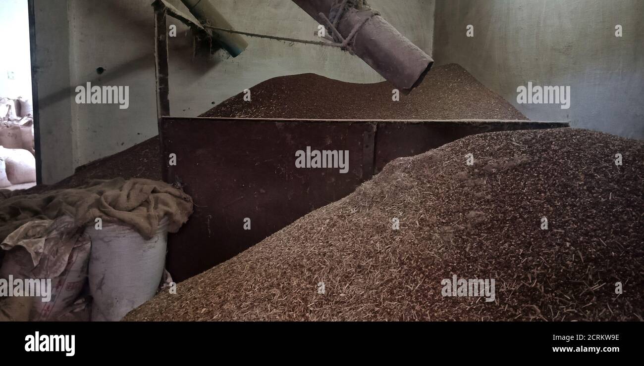 an old rusty rice peels powder exposed to the dusty background Stock ...