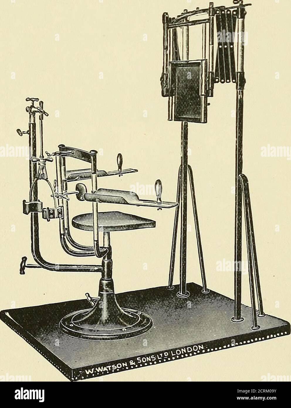 Frontal x ray of skull showing sinuses hi-res stock photography and ...