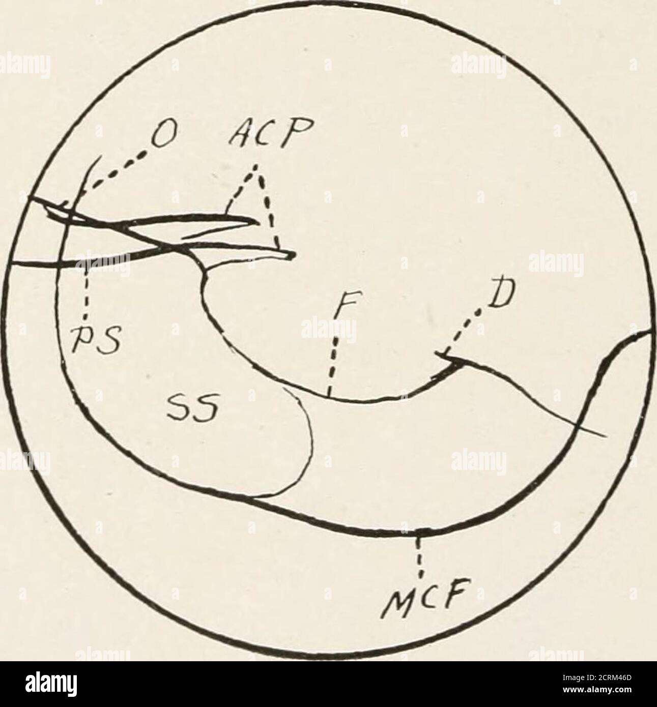 Sella floor hi-res stock photography and images - Alamy