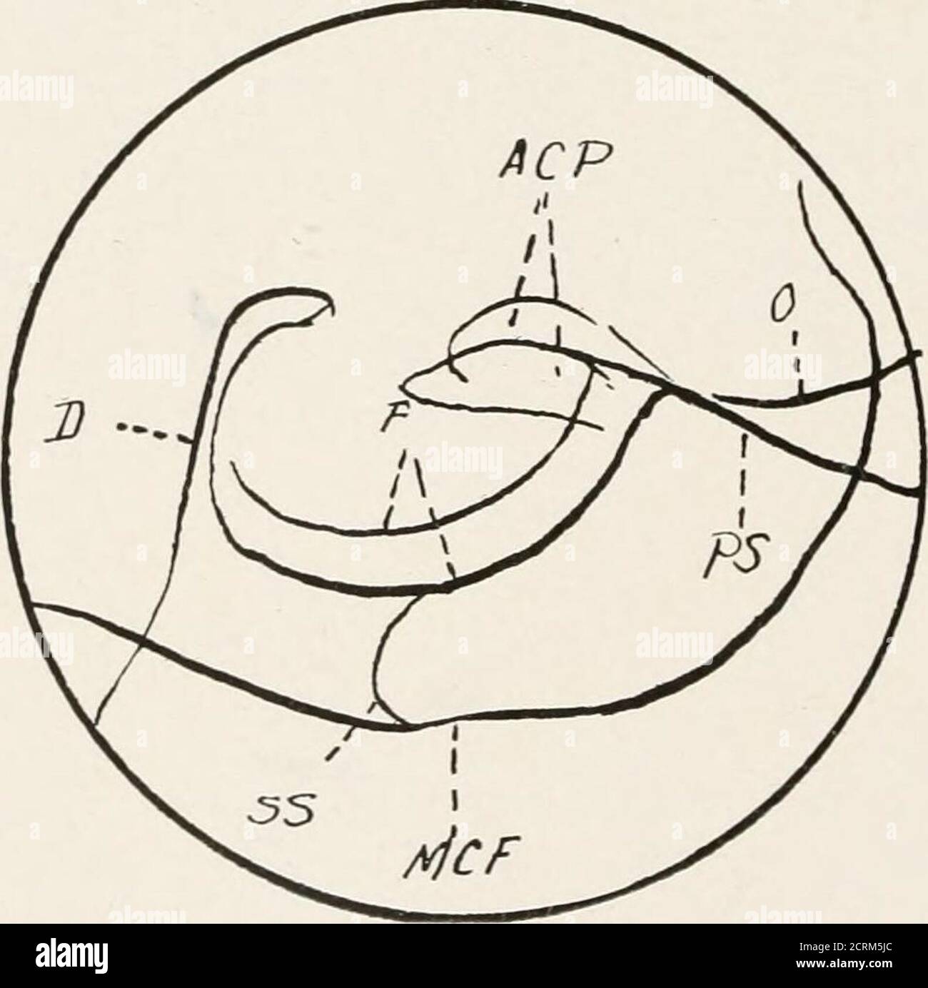 Sella floor hi-res stock photography and images - Alamy