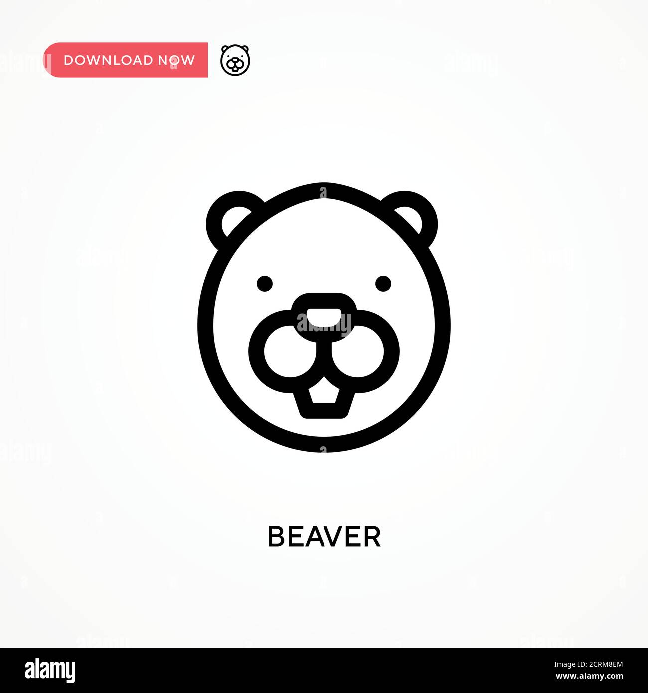 Closeup north american beaver canadensis Cut Out Stock Images ...