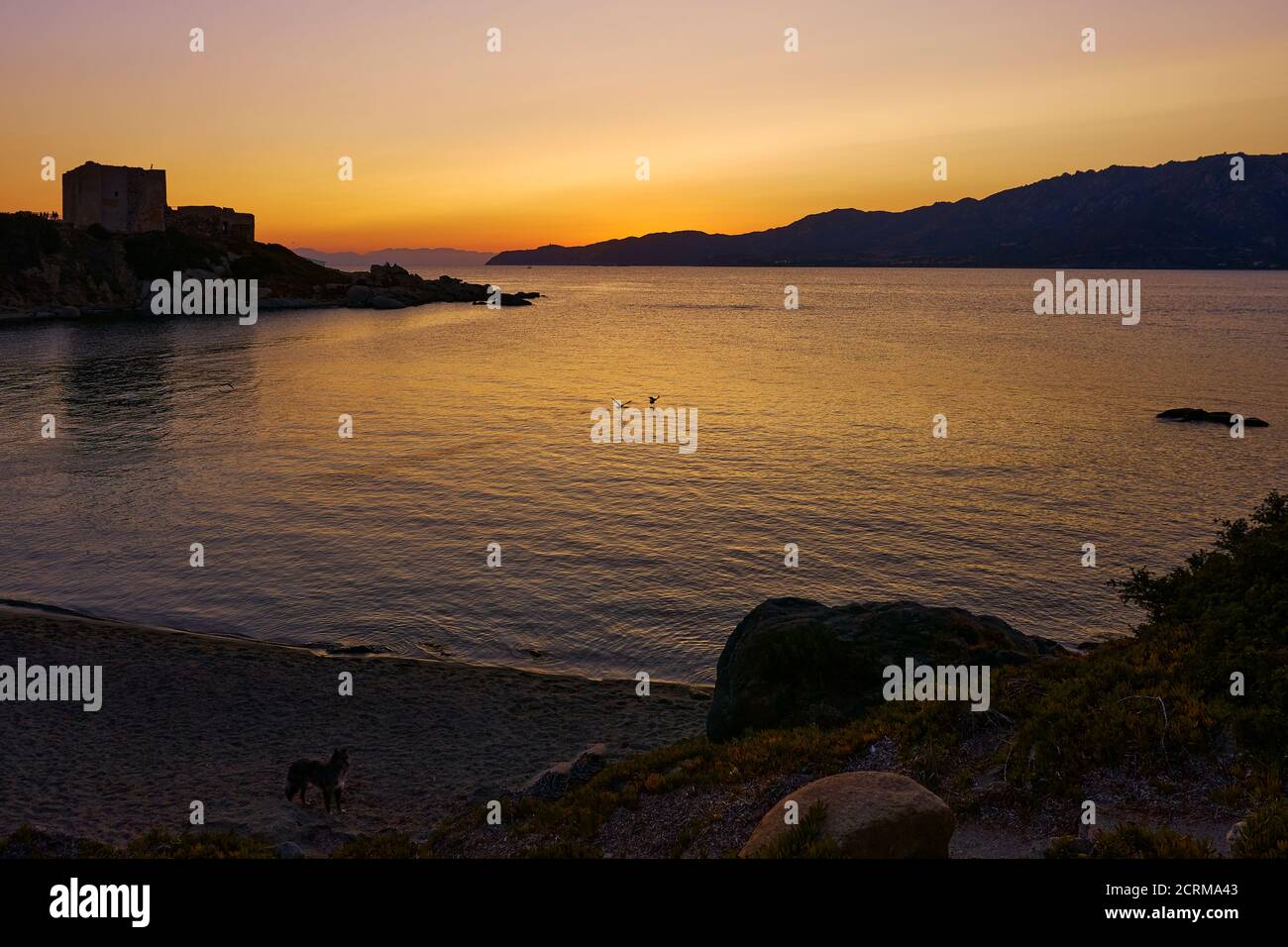 Fortezza Vecchia, Villasimius, Italy Stock Photo - Alamy