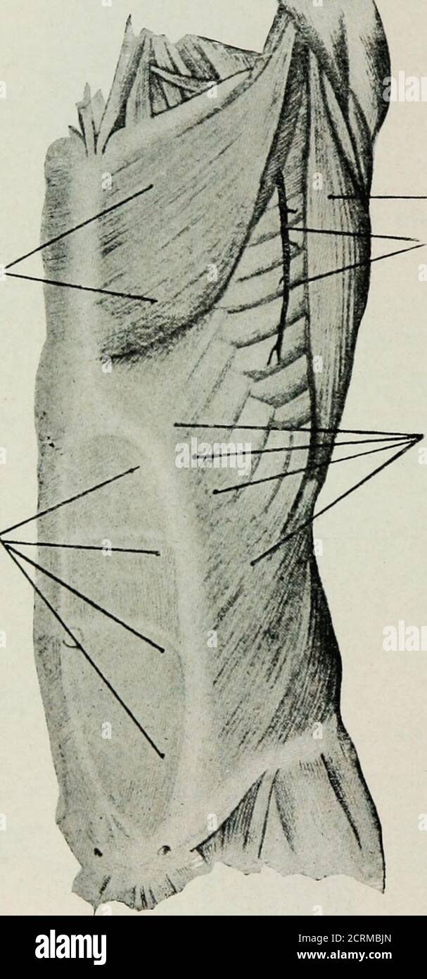 . Principles of electro-medicine, electro-surgery and radiology : a ...