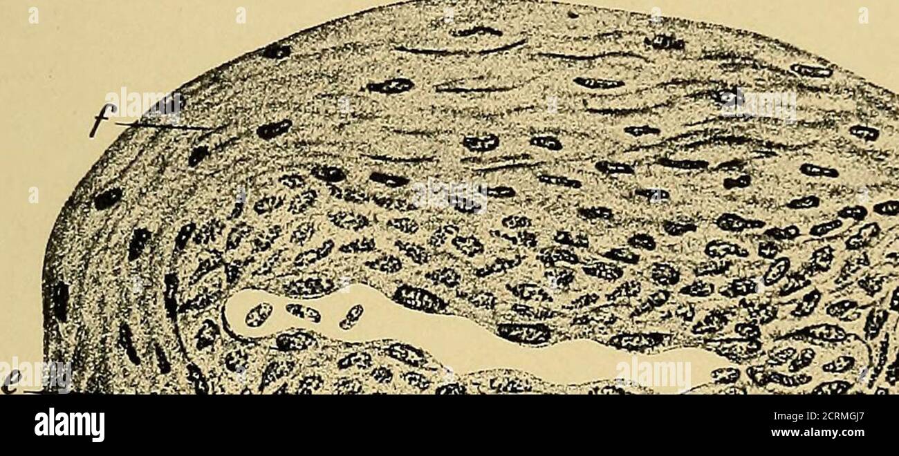 . Light energy, its physics, physiological action and therapeutic ...