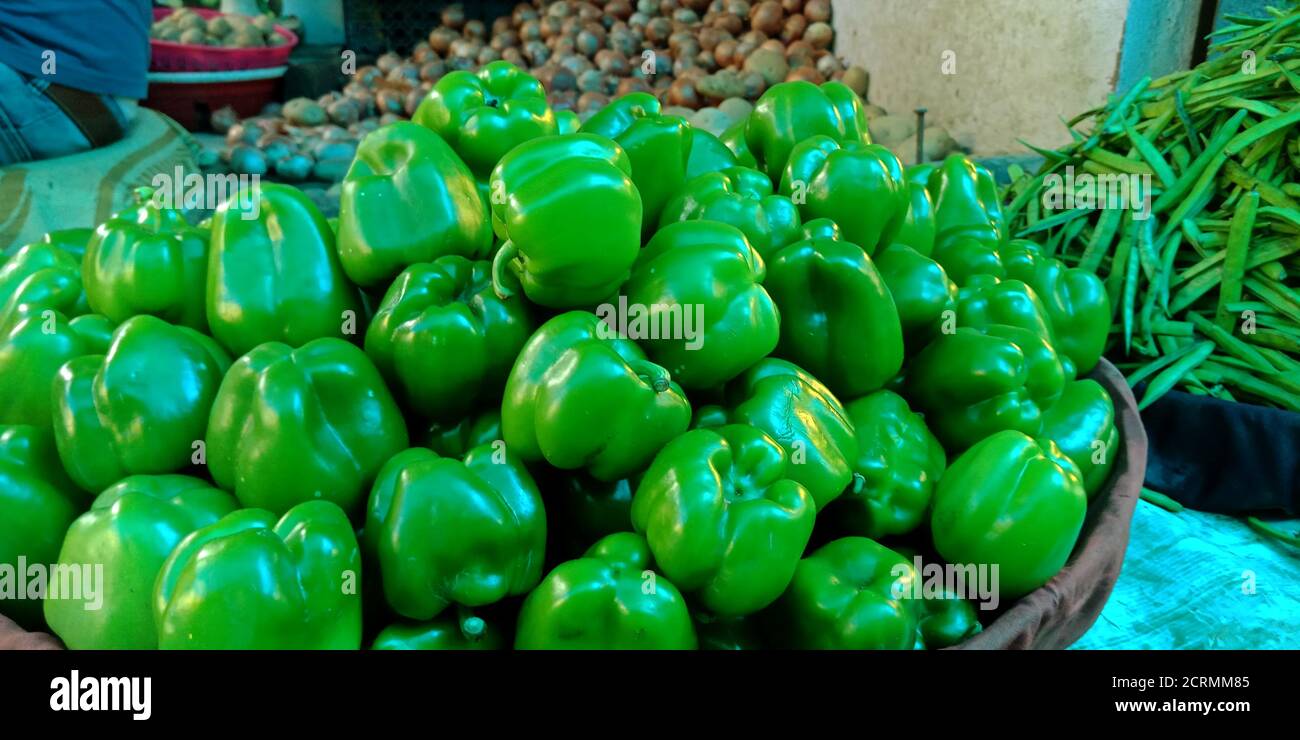 Fresh green capsicum isolate with mix agriculture produce farmers ...