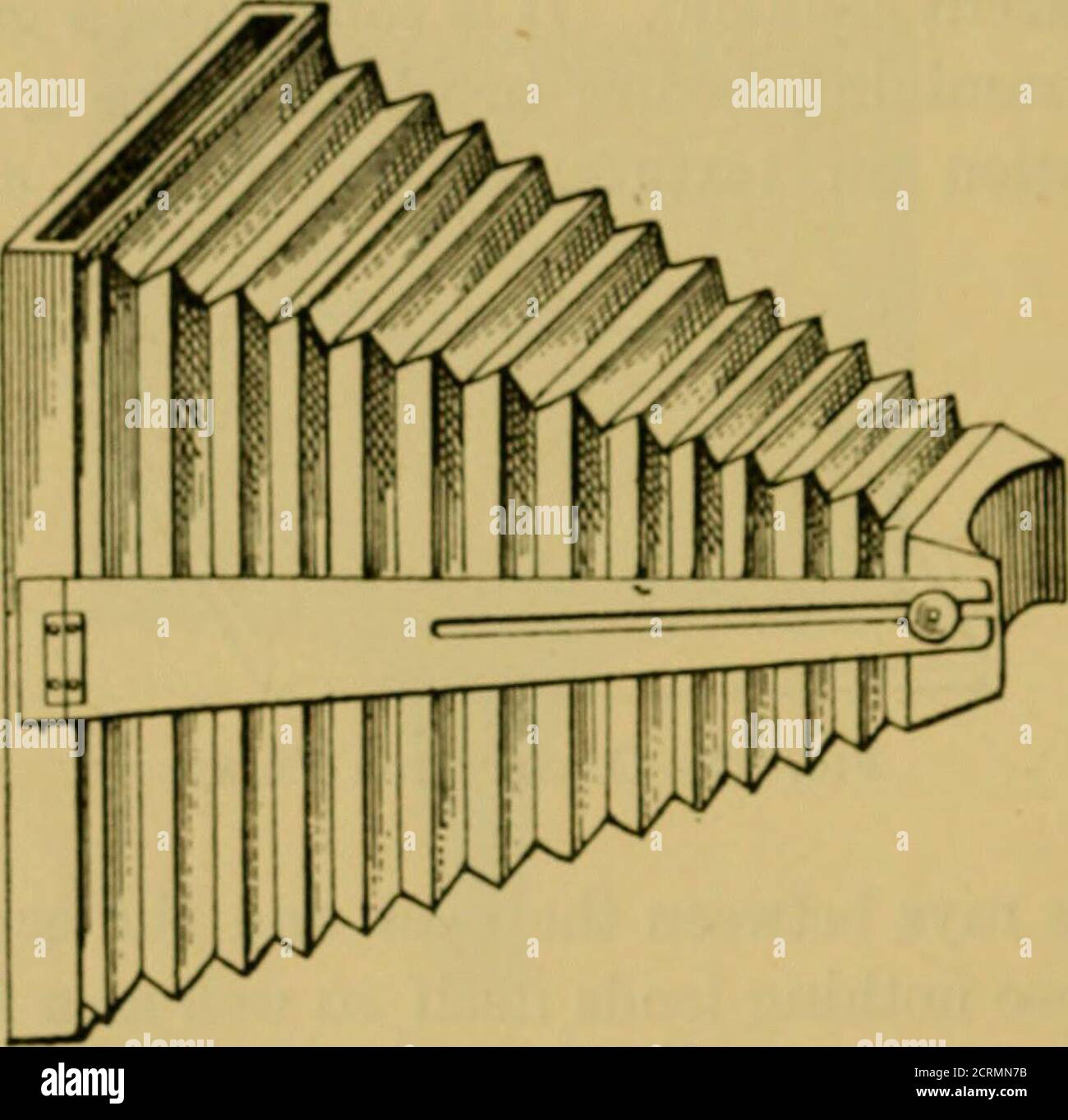 Top mounted eyes hi-res stock photography and images - Alamy