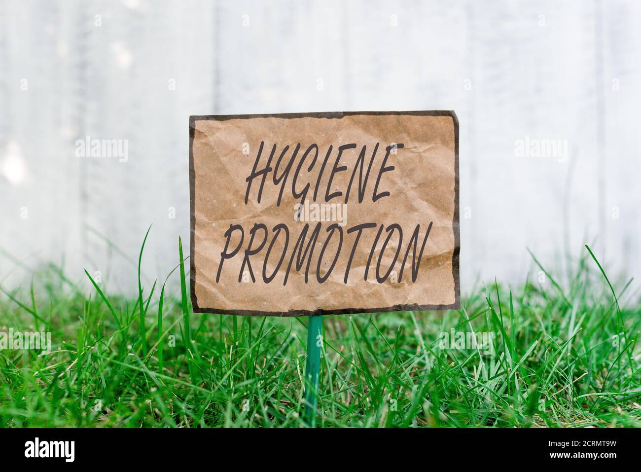 Handwriting text writing Hygiene Promotion. Conceptual photo systematic ...