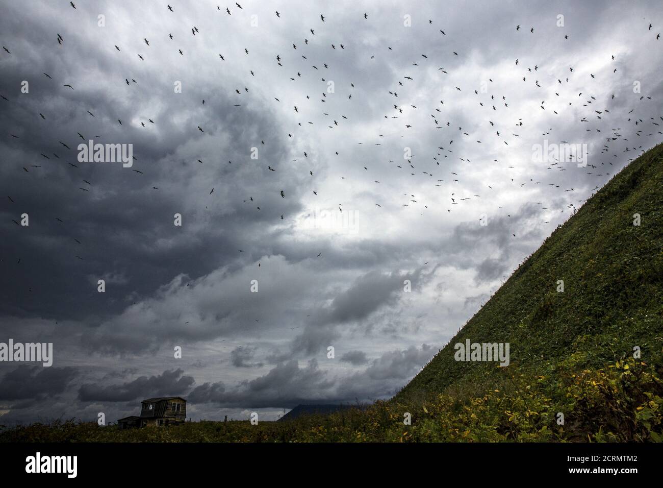 Kuriles war hi-res stock photography and images - Alamy