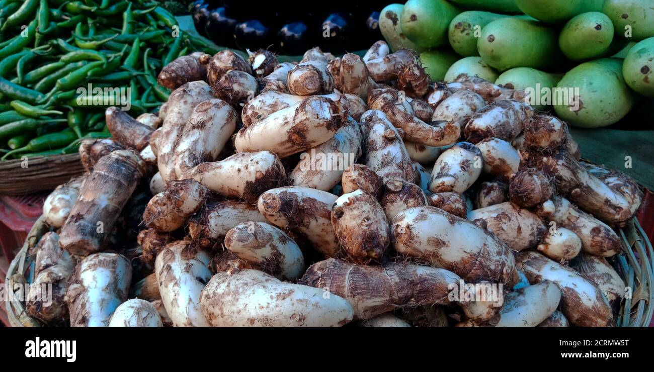 Fresh green root nut isolate with mix agriculture produce farmers ...