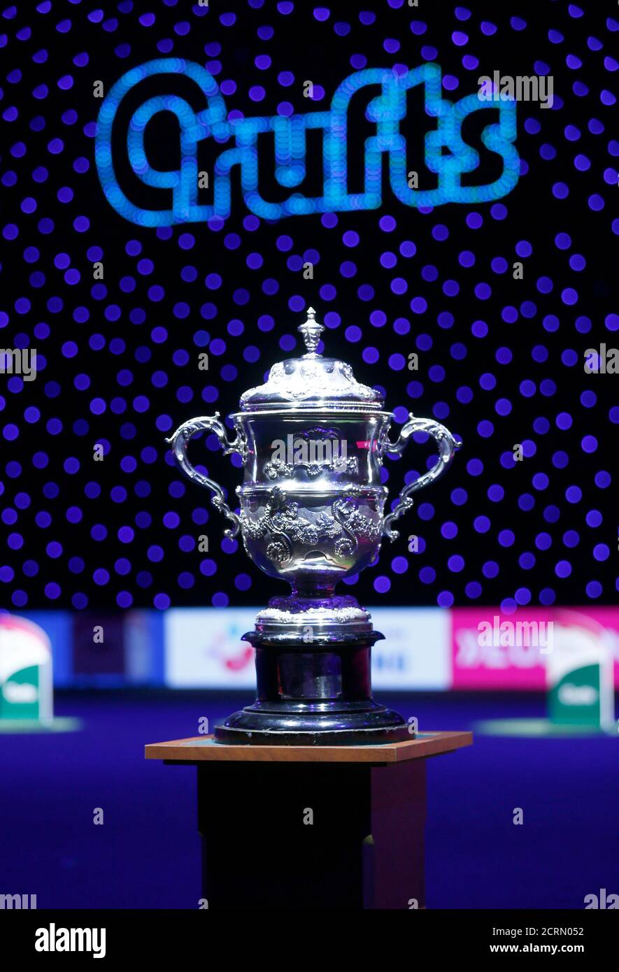 Best in show trophy displayed hi-res stock photography and images - Alamy
