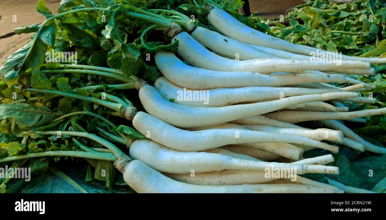 Fresh white radish isolate with mix agriculture produce farmers market ...