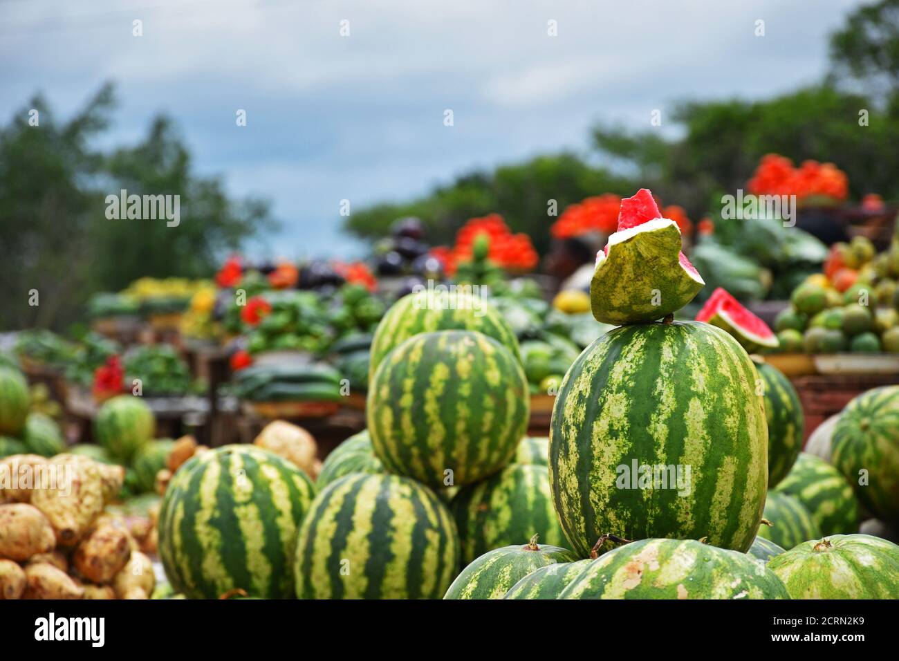 Zambian fruit hi-res stock photography and images - Alamy