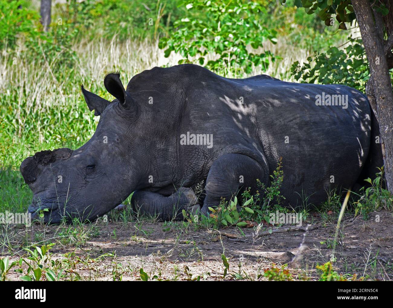 Matopos national park hi-res stock photography and images - Alamy