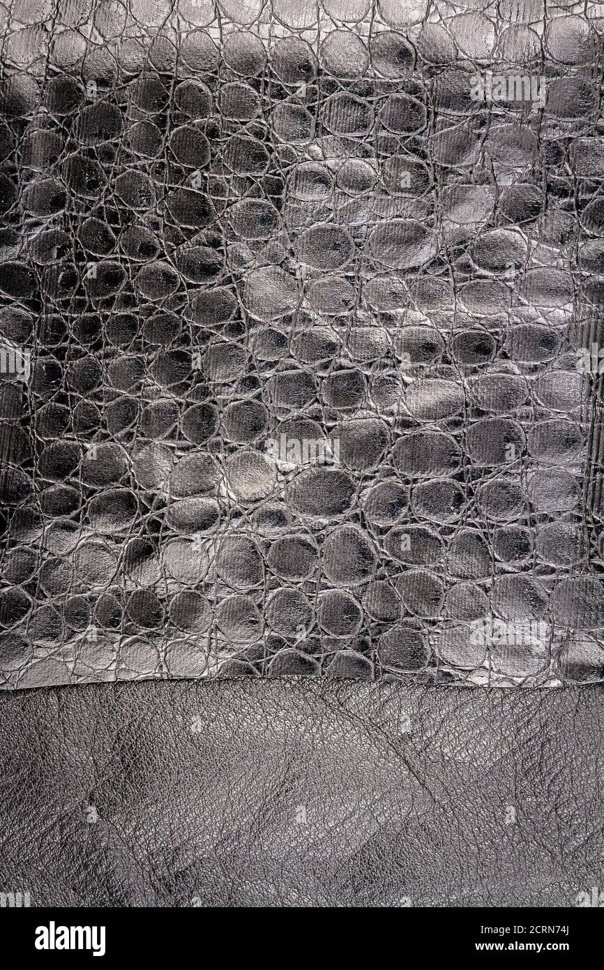 Black leather and fake artificial alligator skin textures background ...