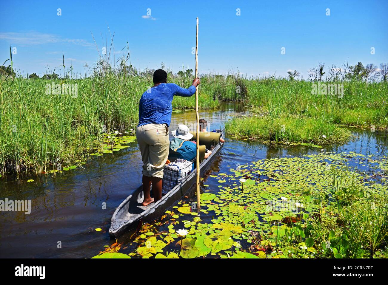 The Okavango Delta in Botswana Stock Photo - Alamy