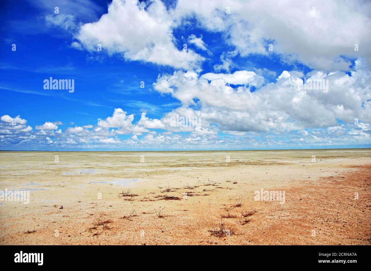 Namibia salt pans hi-res stock photography and images - Alamy