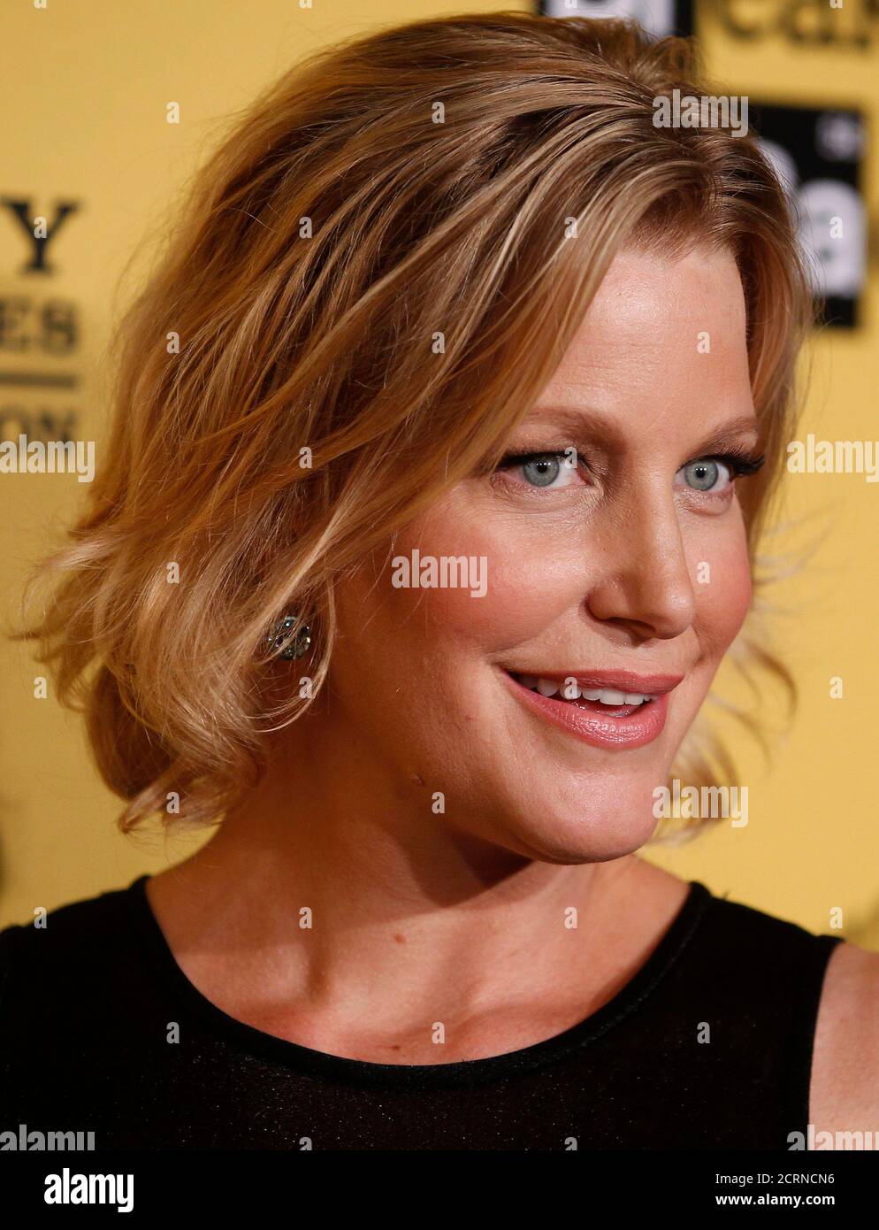 Anna Gunn Breaking High Resolution Stock Photography and Images - Alamy
