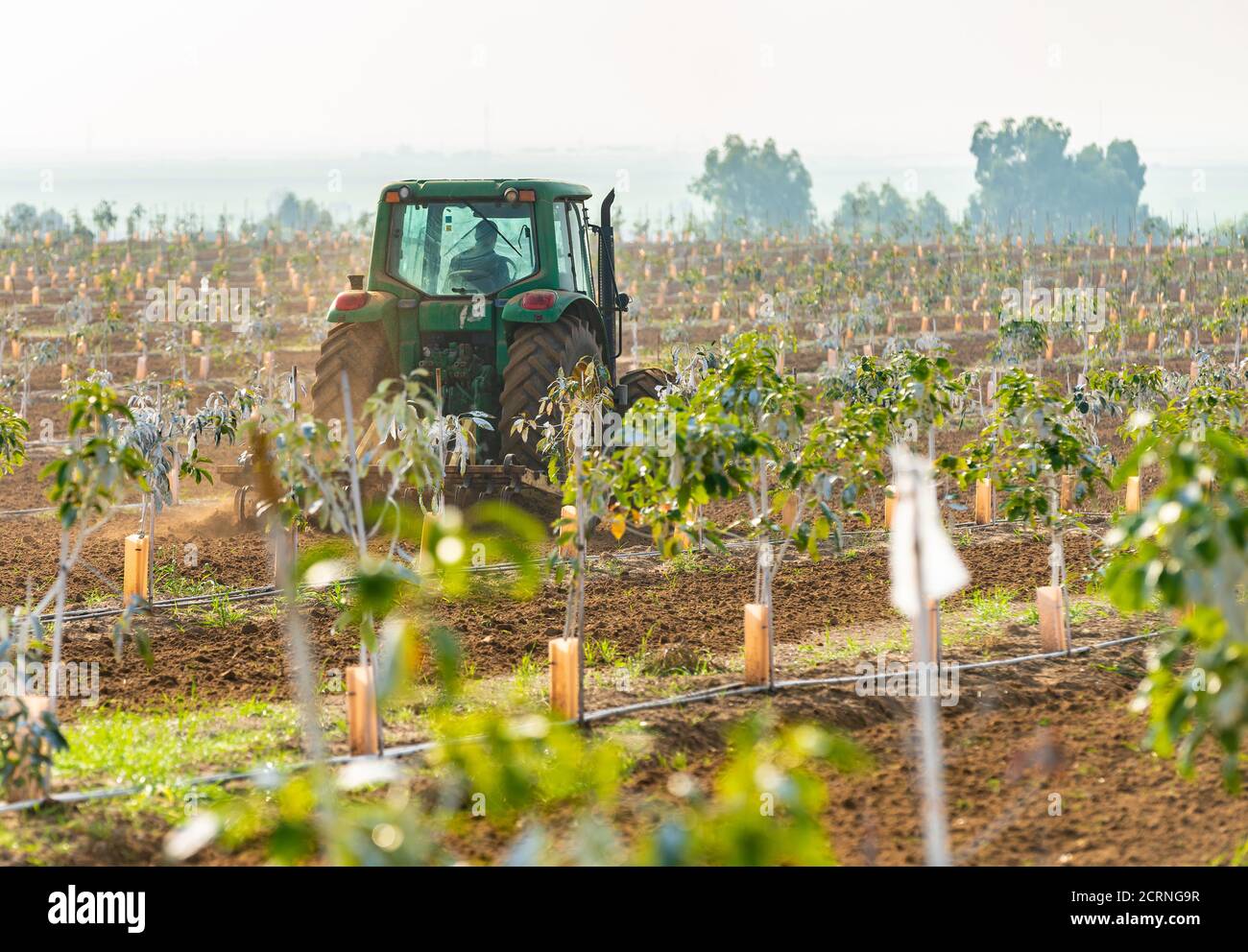 rural landscape, tractor cultivates agricultural land Stock Photo - Alamy