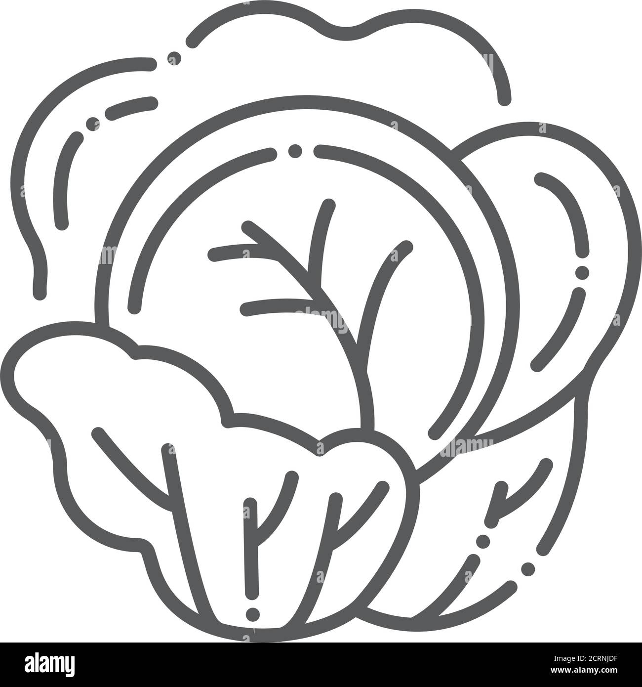 Line cabbage logo hi-res stock photography and images - Alamy