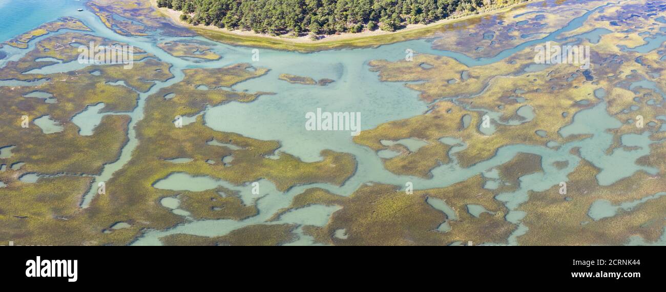Salt Marshes And Estuaries