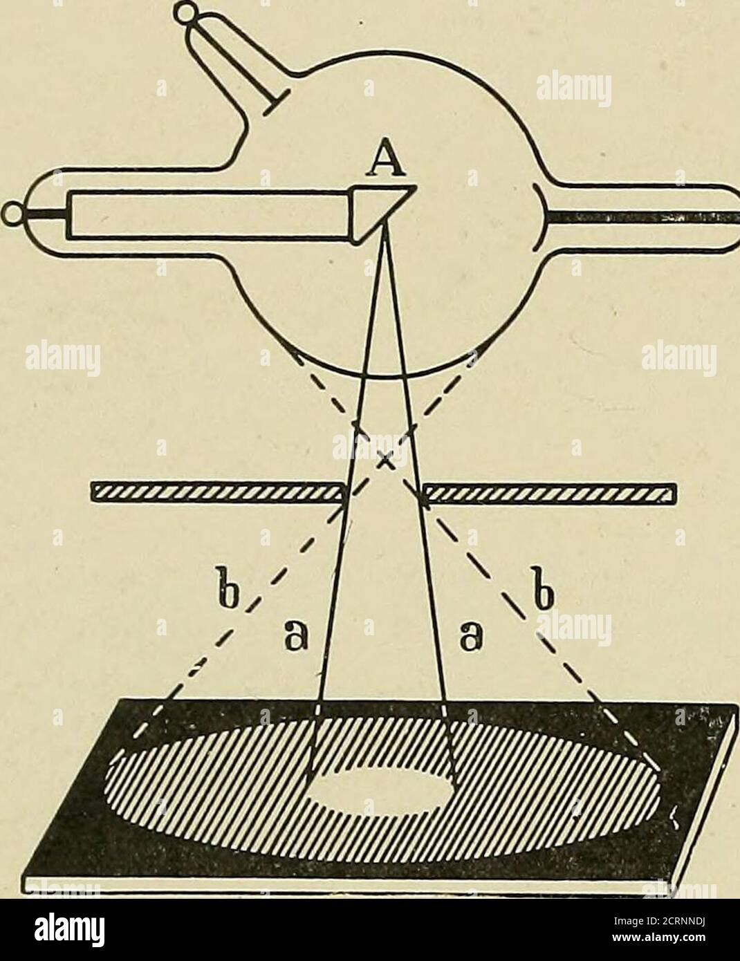 Projection radiography hi-res stock photography and images - Alamy