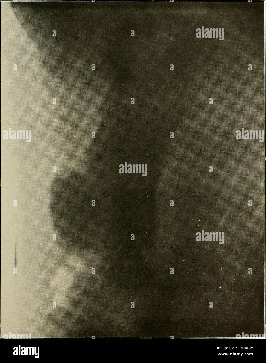 Bookidtextbookofra hi-res stock photography and images - Alamy