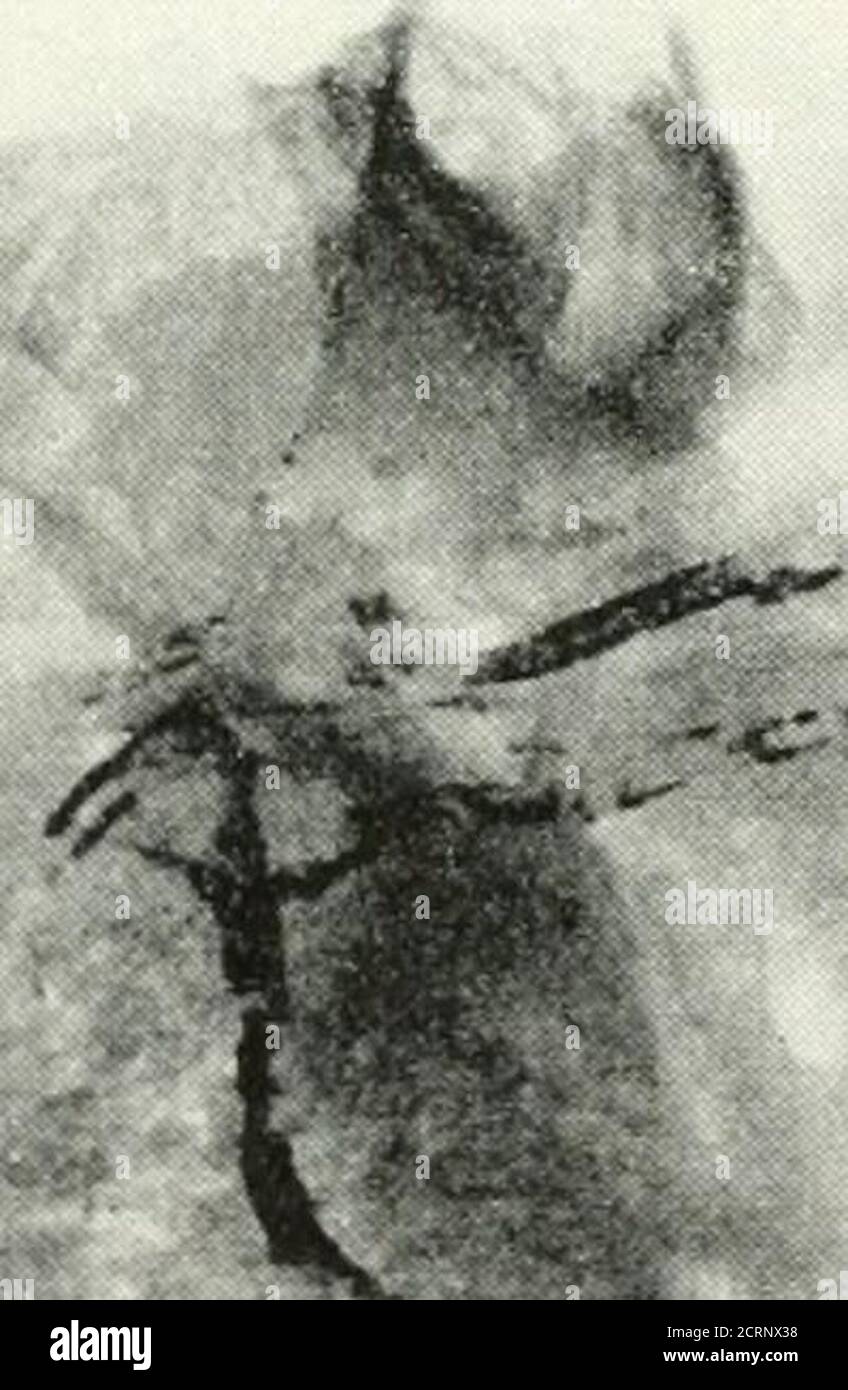 . Radiography, x-ray therapeutics and radium therapy . % ..-jfC- f ...