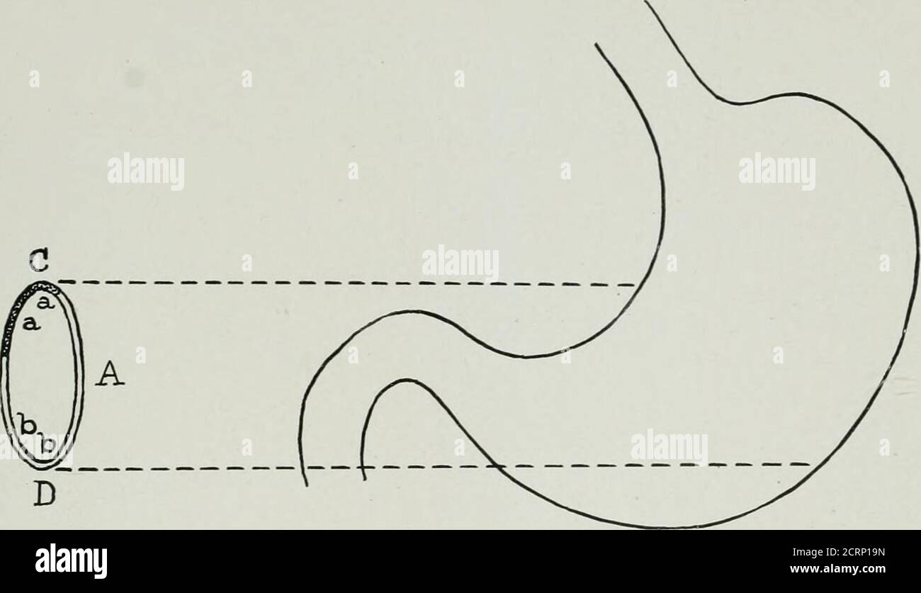 . The American journal of roentgenology, radium therapy and nuclear ...