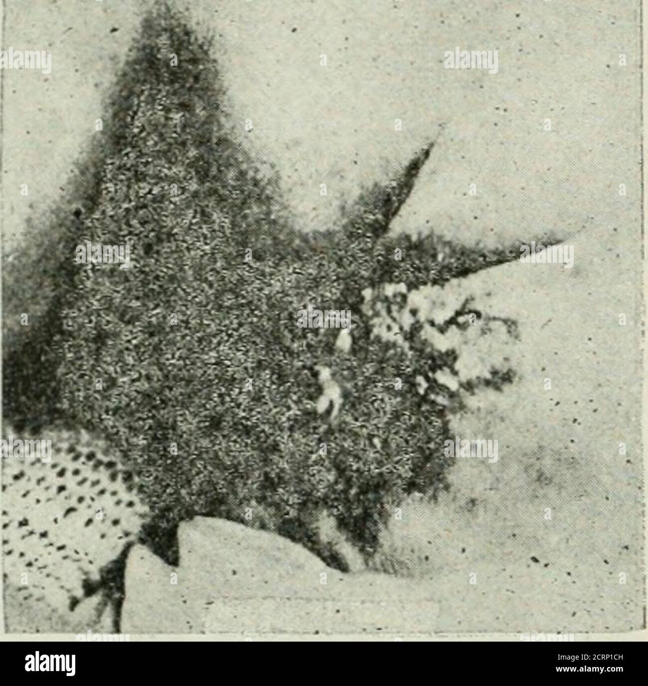 . Radium Stock Photo - Alamy