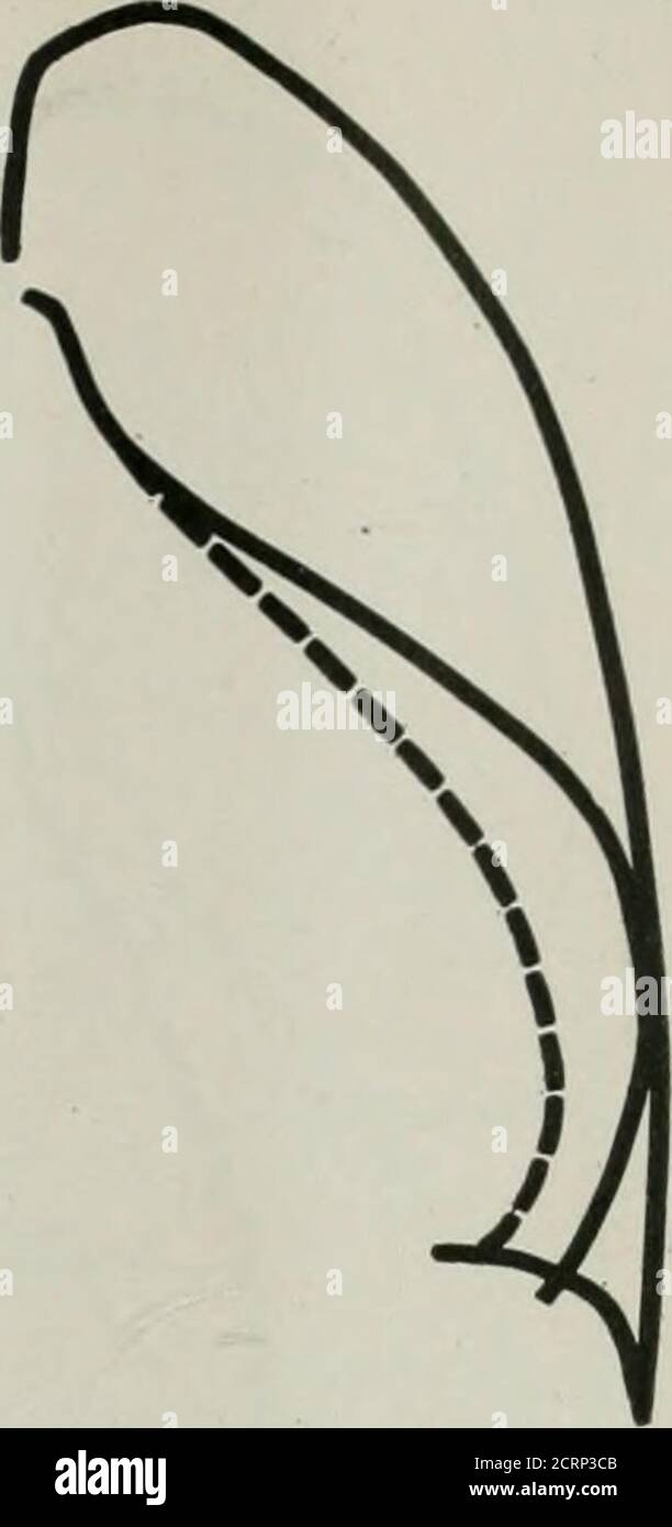 . The American journal of roentgenology, radium therapy and nuclear ...