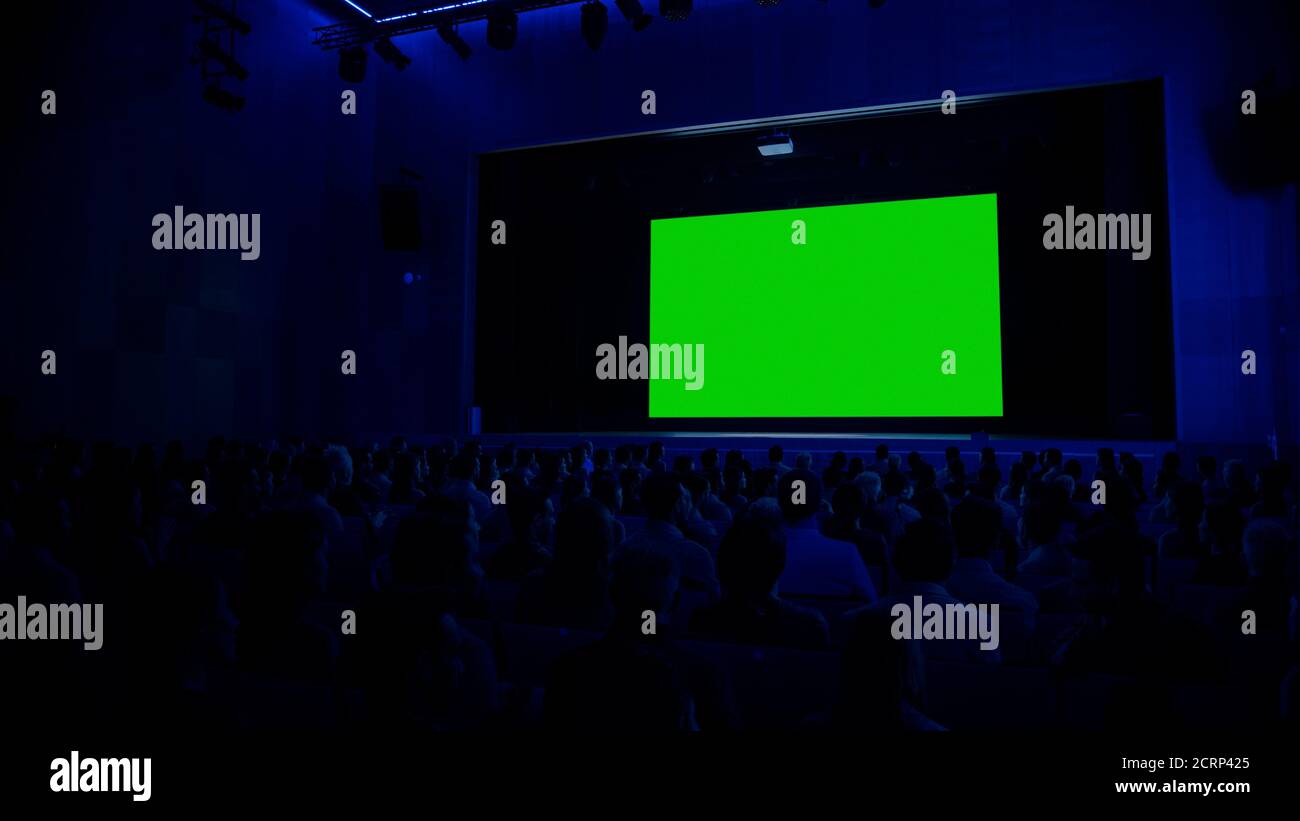 In the Modern Movie Theater Captivated Audience Watching New ...