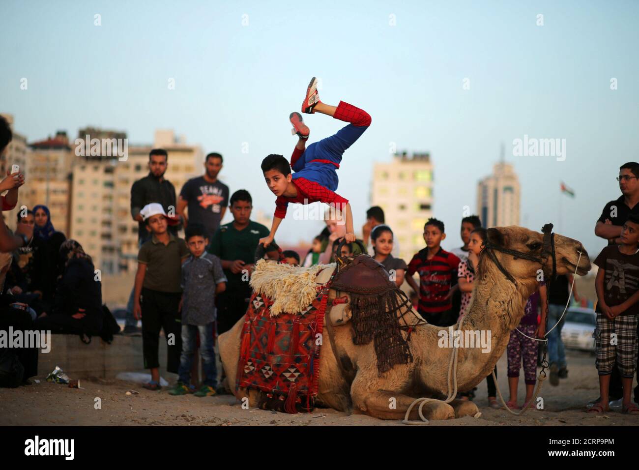 Contortionist animal hi-res stock photography and images - Alamy