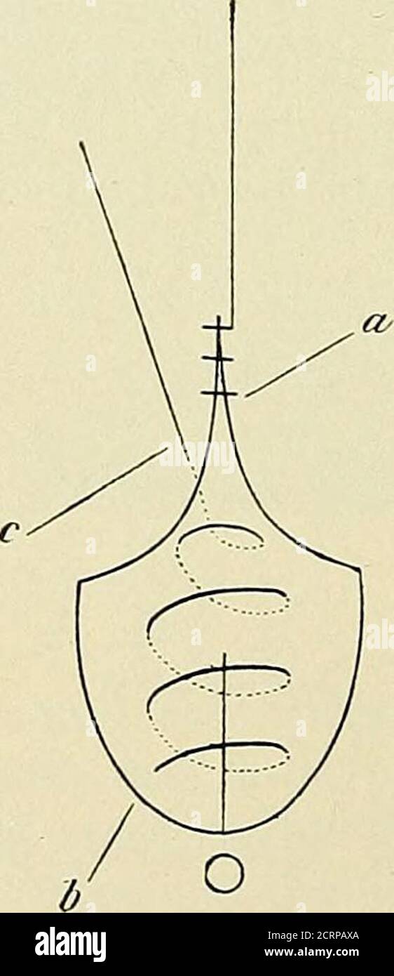 . A treatise on obstetrics for students and practitioners . Complete ...