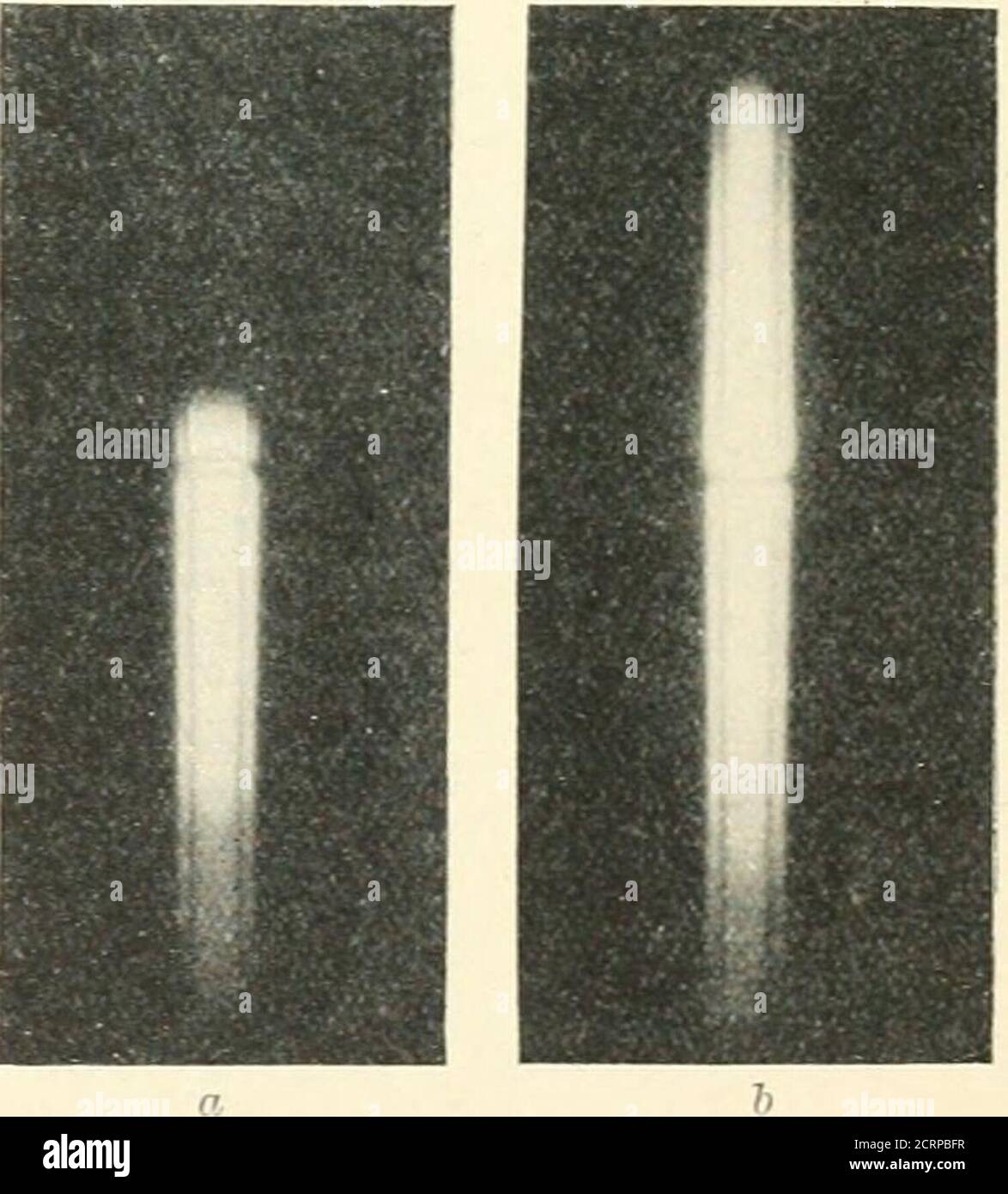 . Radiography, x-ray therapeutics and radium therapy . indicates the ...