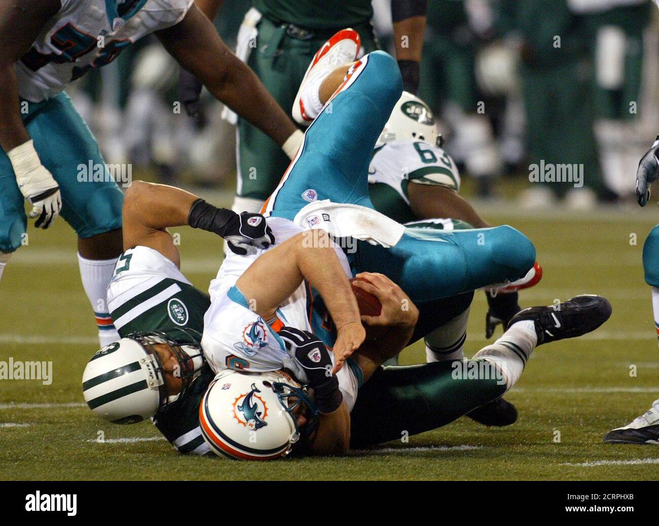 Miami Dolphins Quarterback Jay Fiedler High Resolution Stock ...