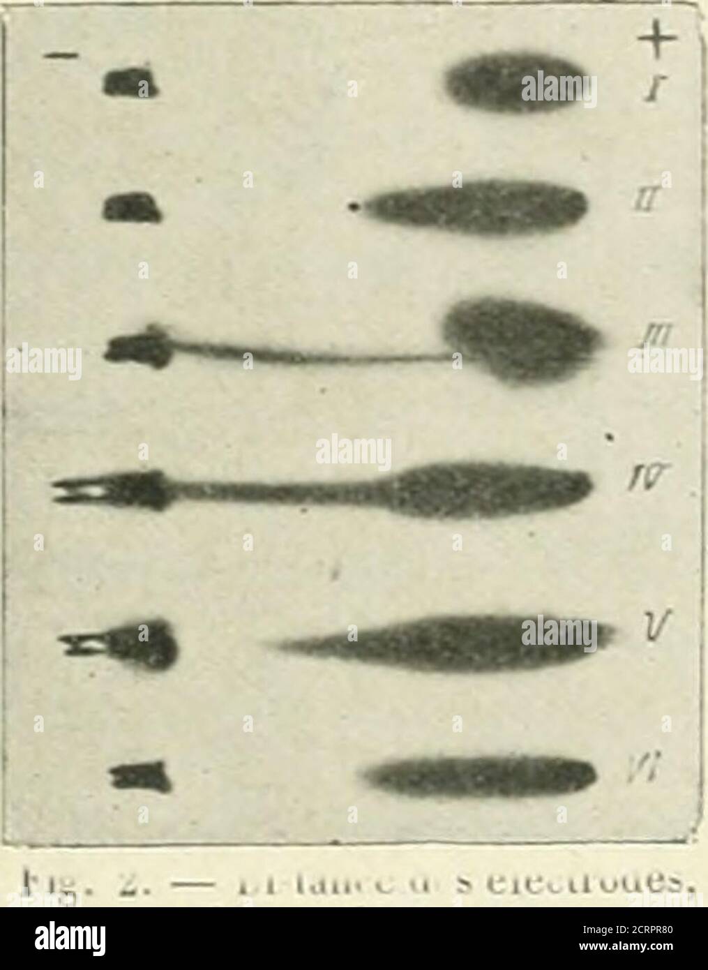 . Radium; la radioactivité et les radiations, les sciences qui s'y ...