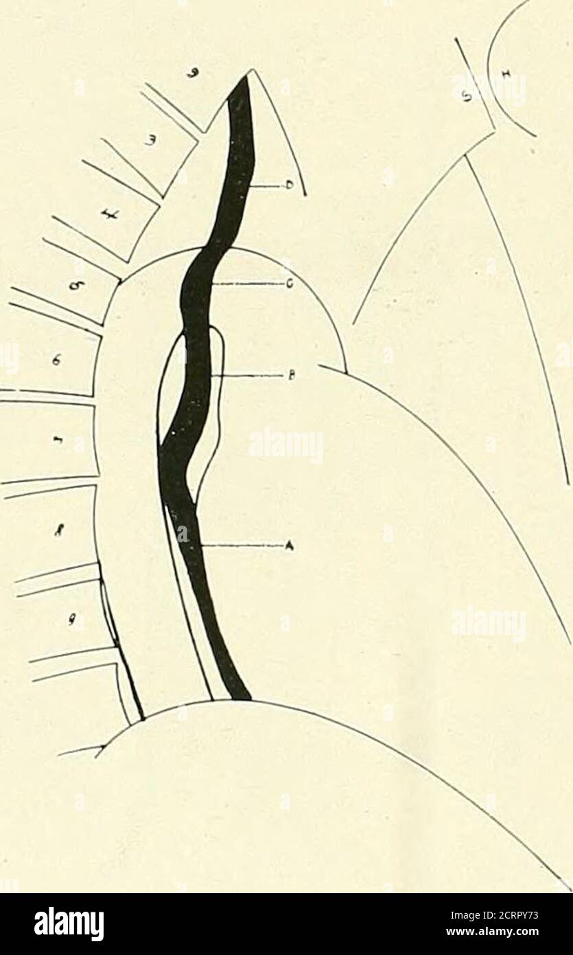 . The principles and practice of roentgenological technique . Fig. 273 ...