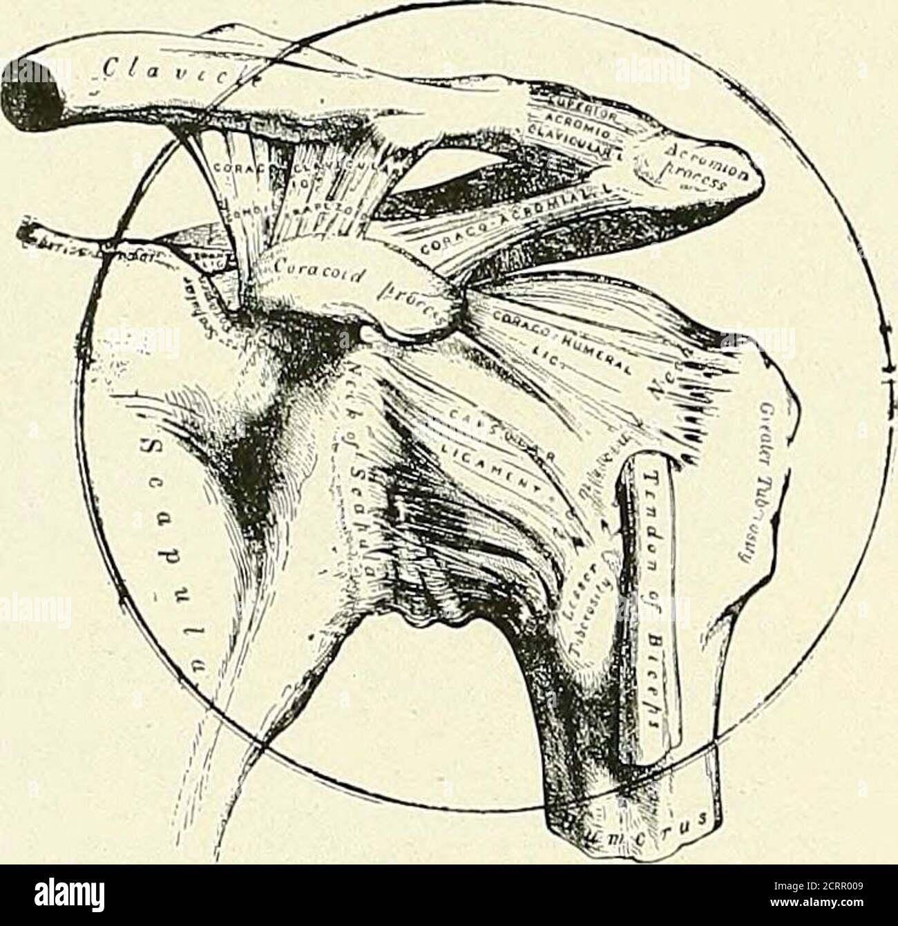 . The principles and practice of roentgenological technique . Fig. 254a ...