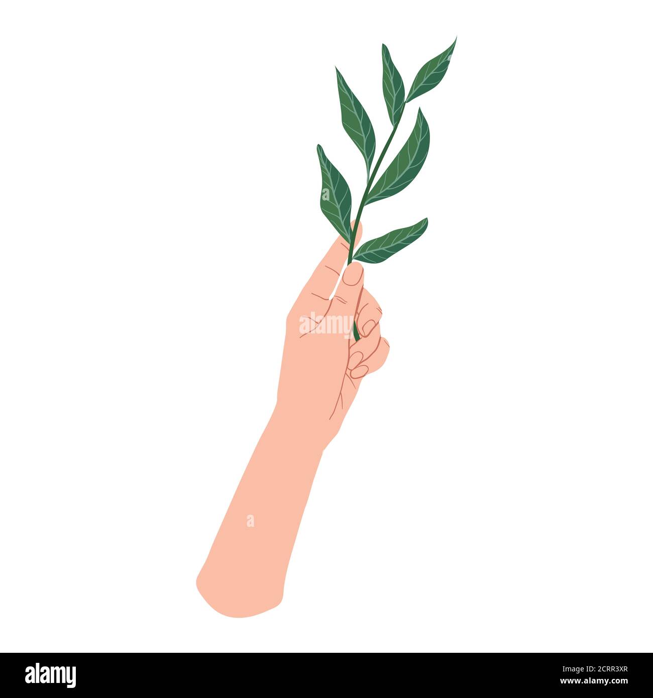 Hand holding a green branch plant. Sprout in Palm. Vector flat design ...