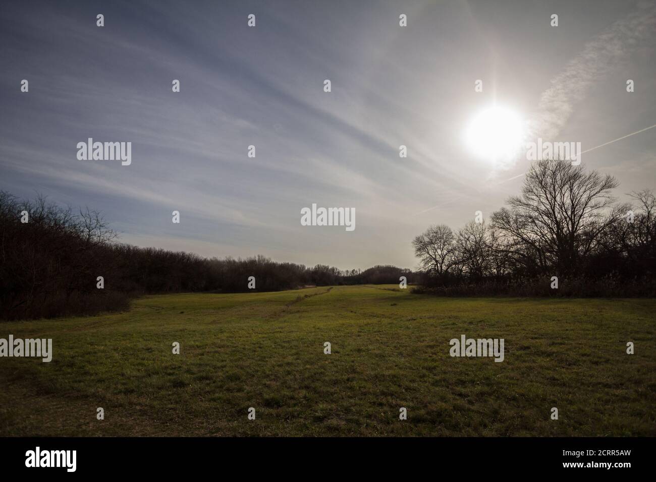 Grass glade clearing meadow clay in the Suboticka pescara, near the ...