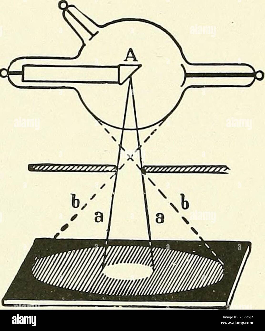 Slit diaphragm hi-res stock photography and images - Alamy