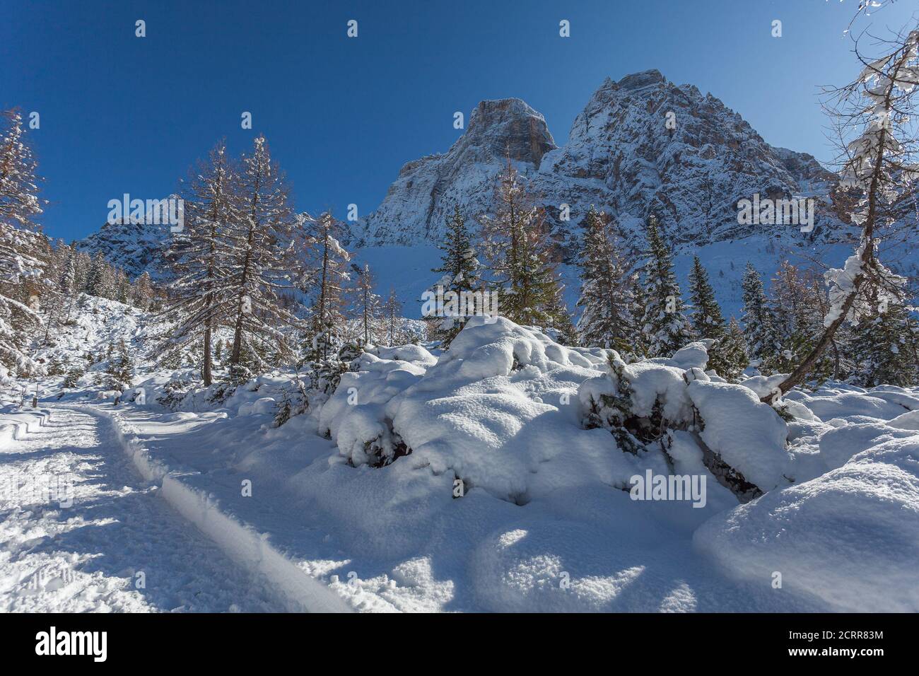 Road in a forest in the Dolomites after a heavy snowfall, with Mount ...