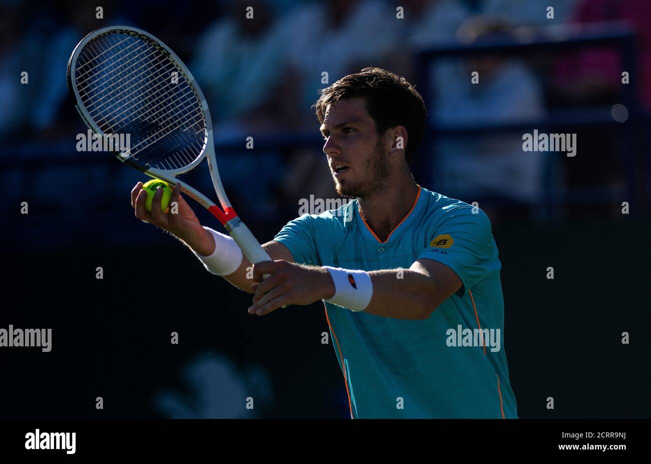 Norrie High Resolution Stock Photography and Images - Alamy