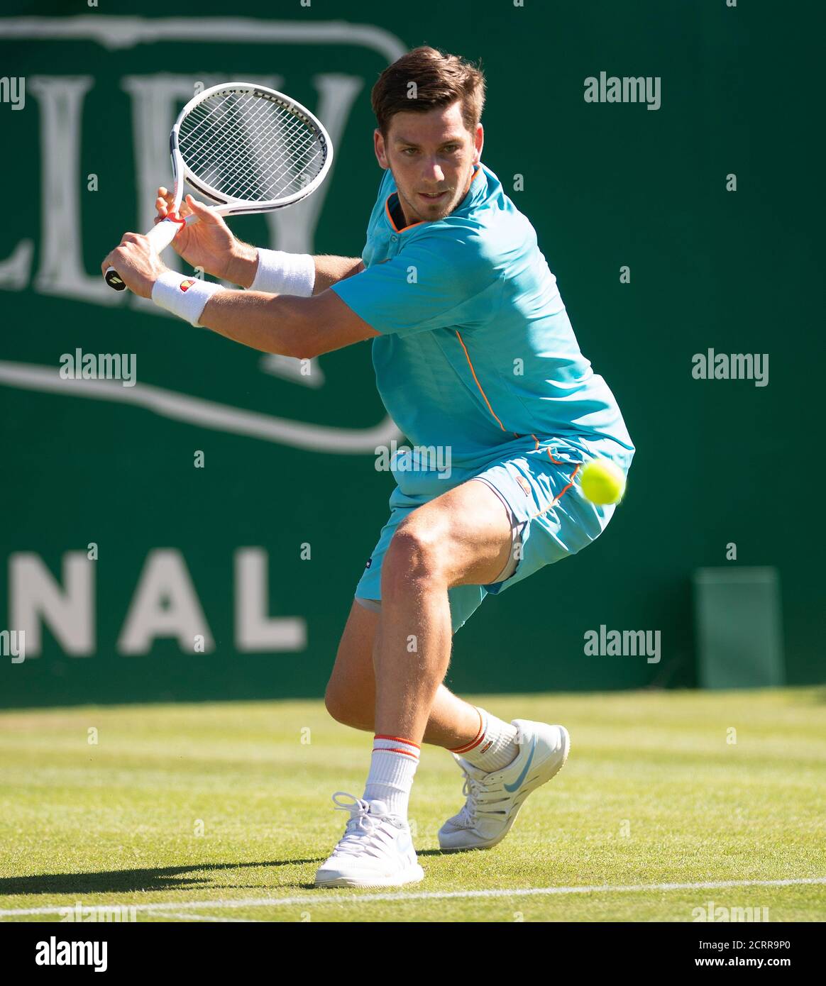 Daniel brands tennis hi-res stock photography and images - Alamy