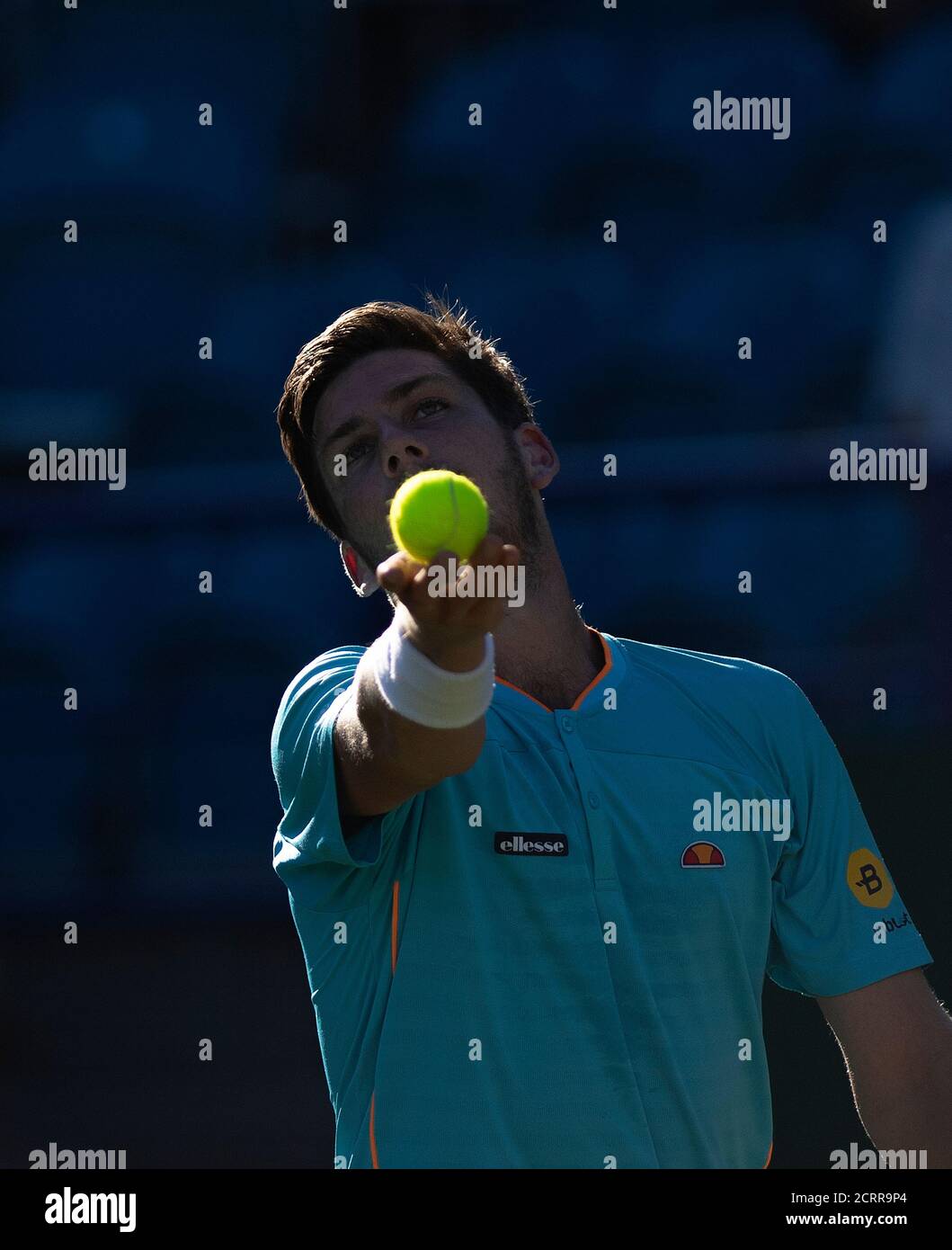 Daniel brands tennis hi-res stock photography and images - Alamy