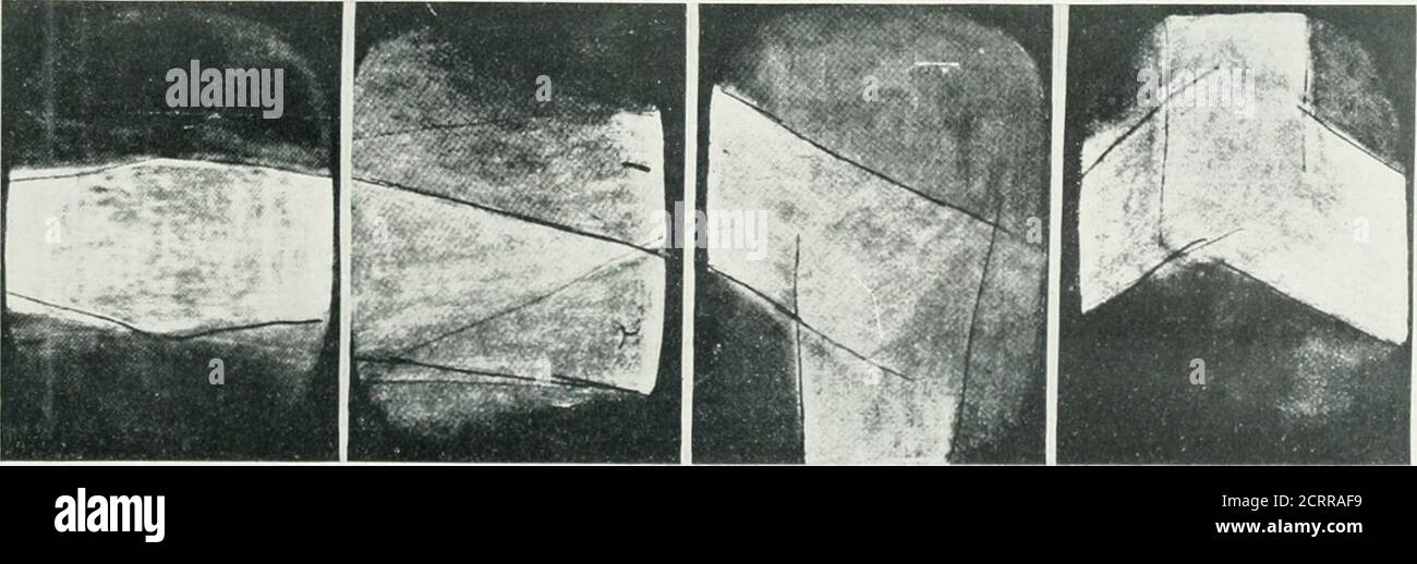 Adynamia hi-res stock photography and images - Alamy