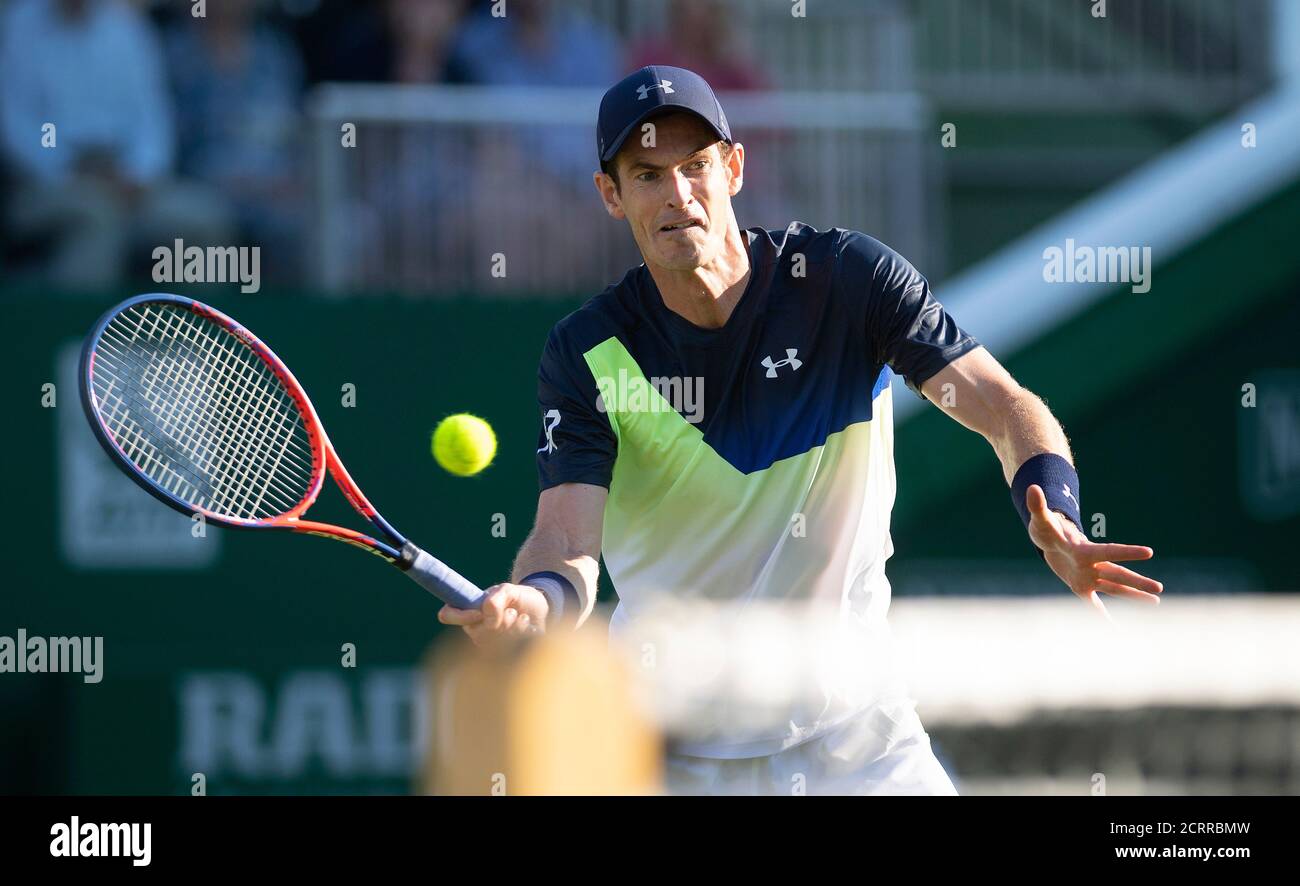 Andy Murray in action. Andy Murray v Stan Wawrinka Mens First Round ...