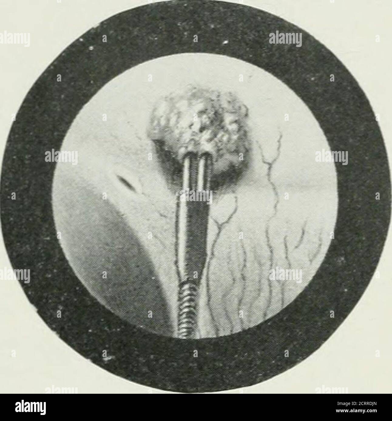 Various optical instruments hi-res stock photography and images - Alamy