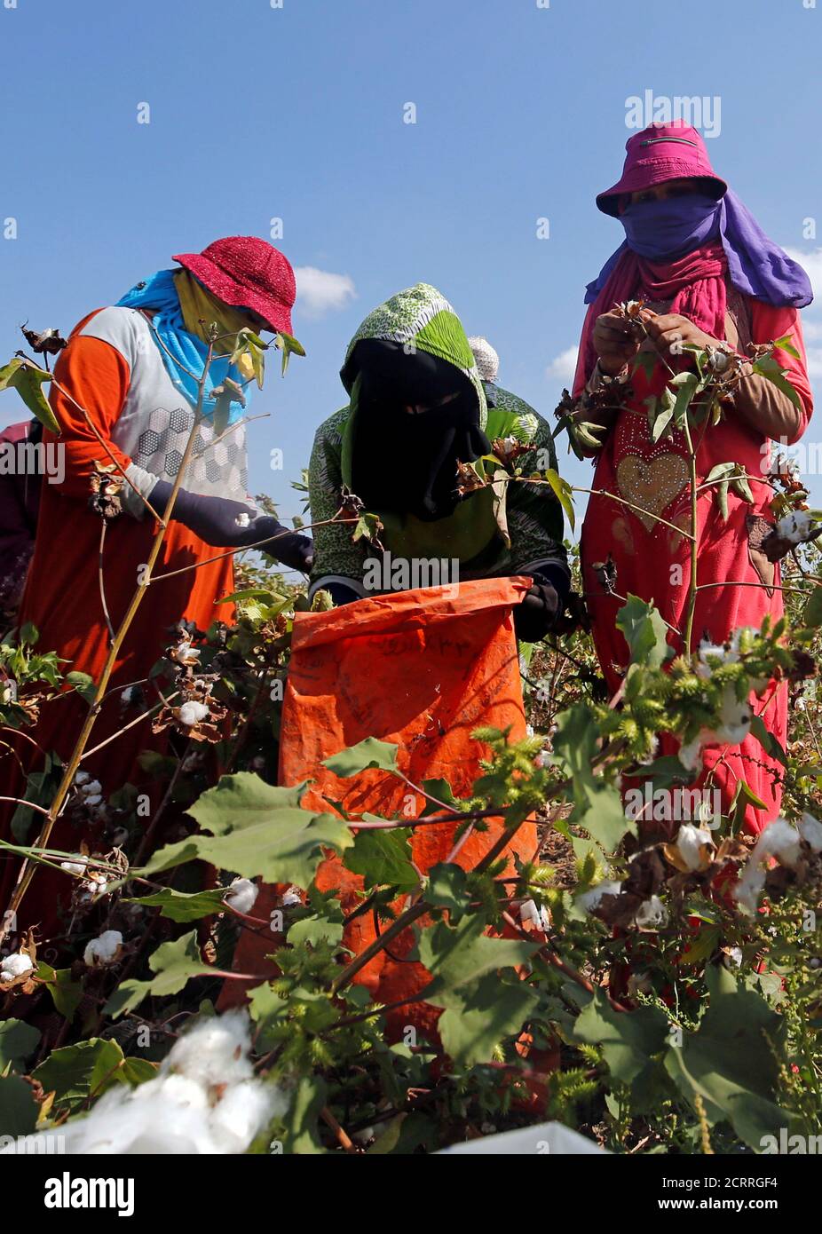 San el hagar hi-res stock photography and images - Alamy